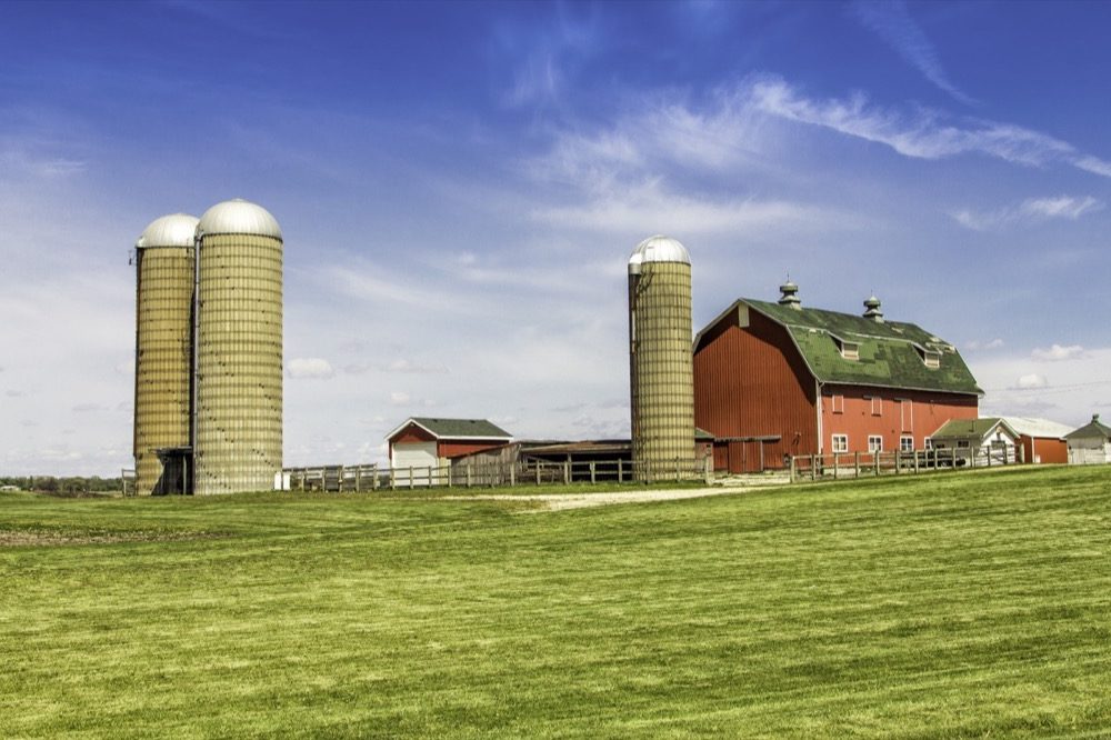 American country farm – Warren Reed